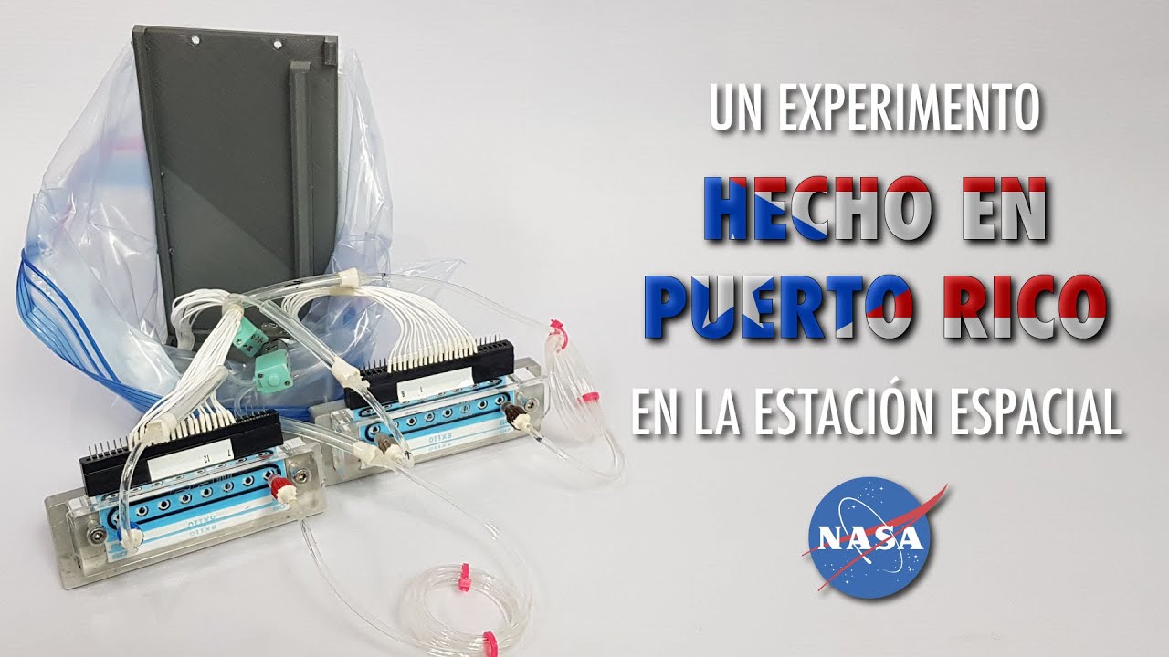 Un experimento hecho en Puerto Rico llega a la estación espacial - Mostrar